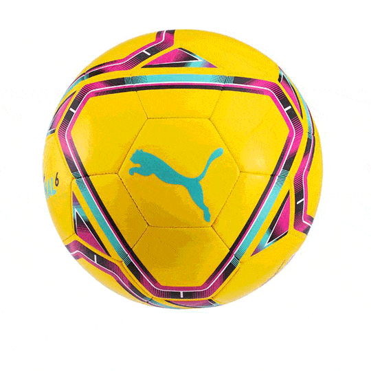Puma Team Final 6 MS Ball – Top Brands Group